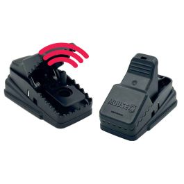 Mouse iQ – 1